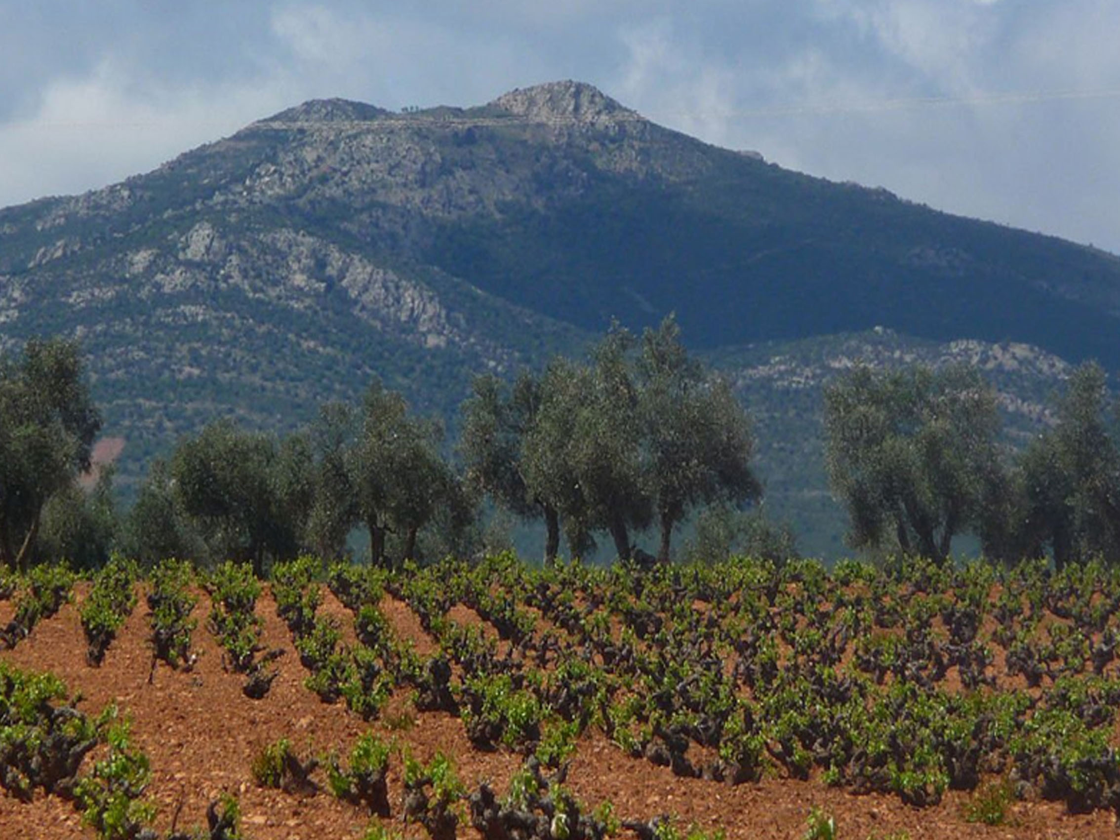 Rượu Cocktail Fogoso Rosa (Quà Tết 2025) - Giá chỉ 804.000₫